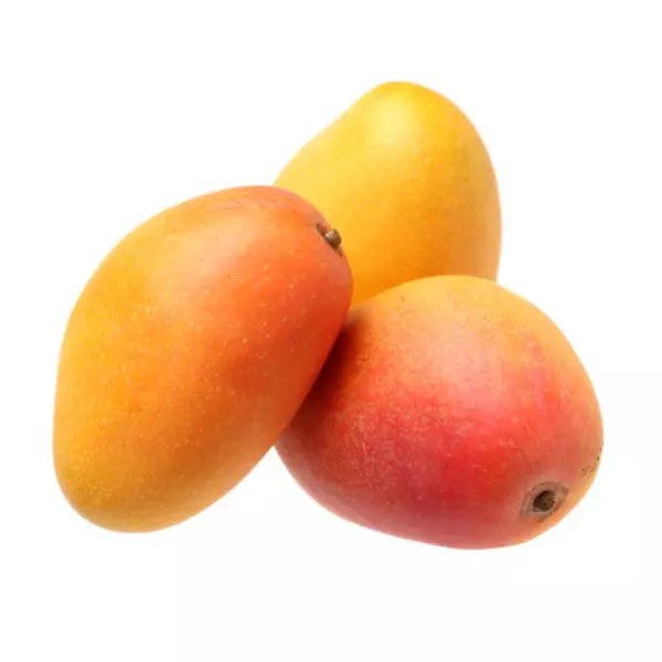 Mango Criollo