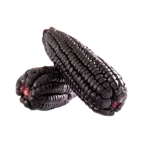 Mazorca Peruana Morada